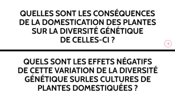 Étapes de croissance des plantes