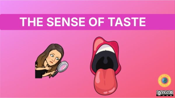 SENSE OF TASTE 5º | Genially