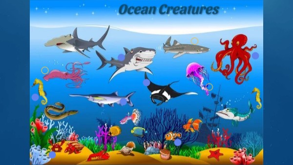 ocean creatures