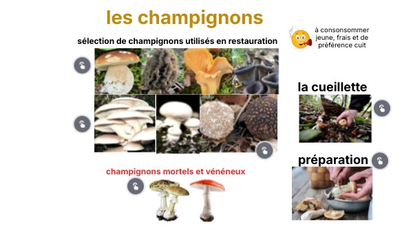 champignons