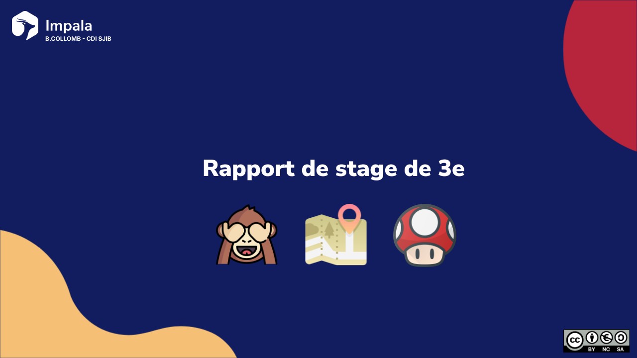 Rapport de stage | Genially