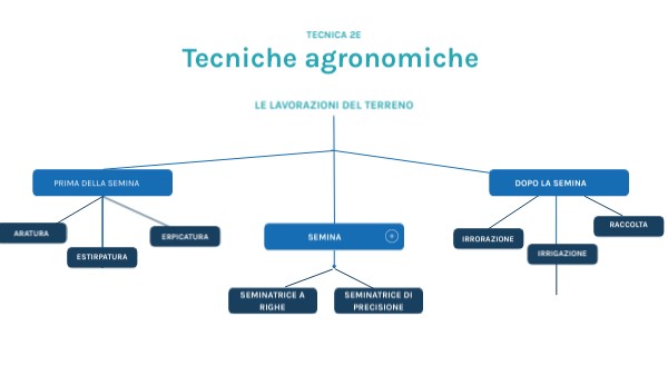 CONCEPT MAP BOXES archived