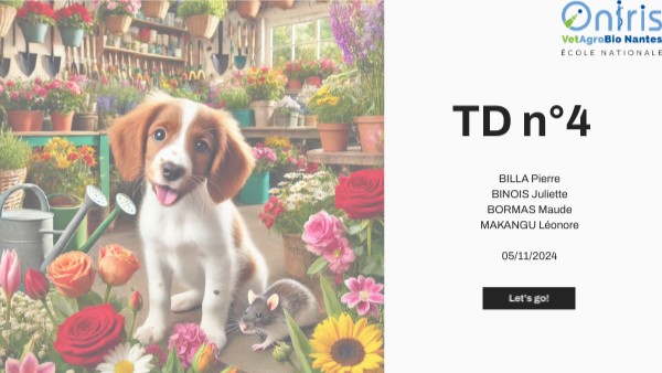 TD 4 Patho Clin | Genially