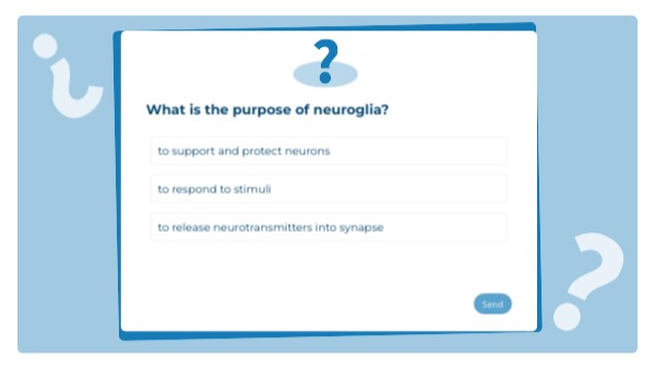 Group 3 2B Flashcard Quiz