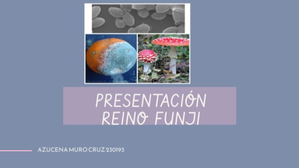 Presentación REINO FUNGI | Genially