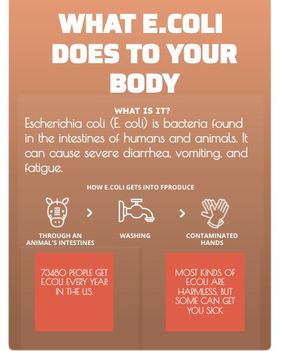 e.coli
