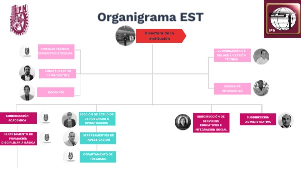 ORGANIGRAMA EST | Genially