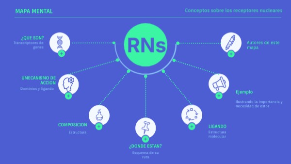 Mapa Mental RNs