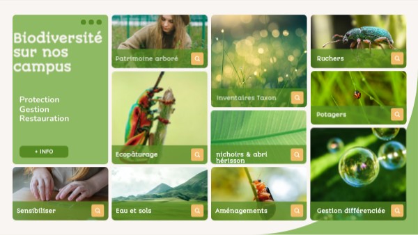 biodiversité | Genially