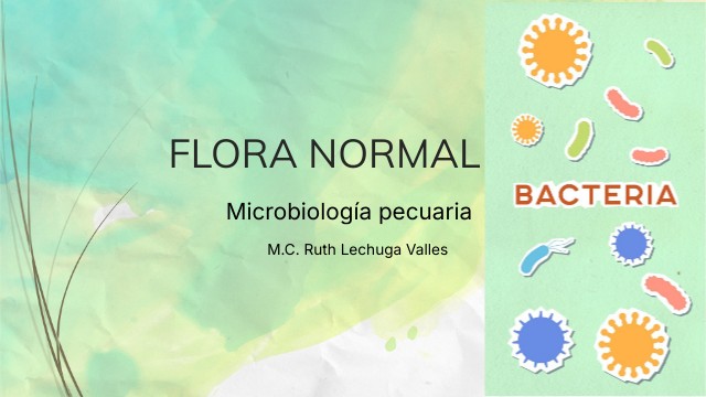 1. Flora Normal.pptx | Genially