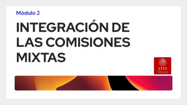 Módulo 2 INTEGRACIÓN DE LAS COMISIONES MIXTAS