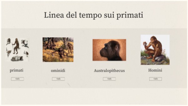 linea del tempo sui primati