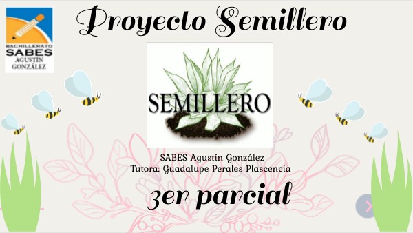 proyecto semillero 3er parcial | Genially