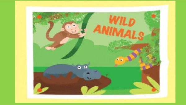 WILD ANIMALS