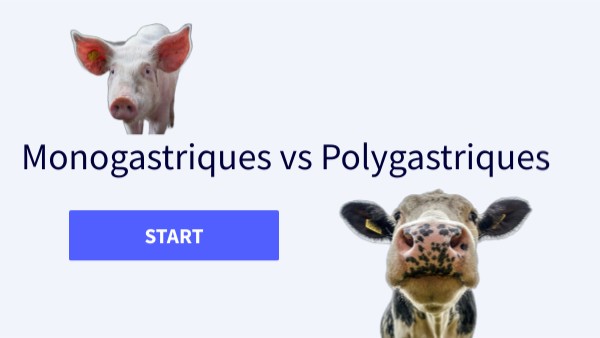 Mono vs Poly | Genially