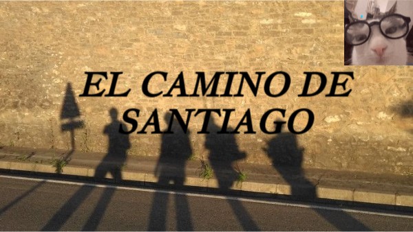 CAMINO DE SANTIAGO :)