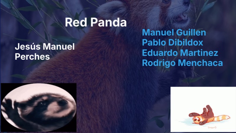 Science proyect red panda