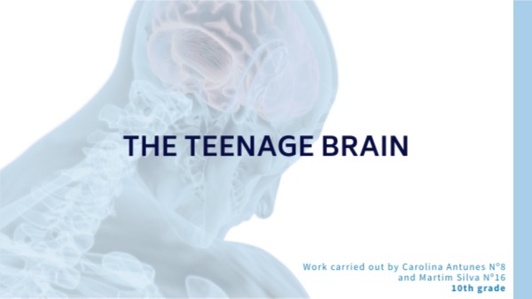 The teenage brain | Genially