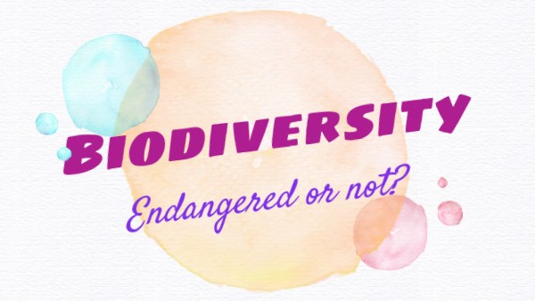 Activity #2 Biodiversity