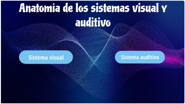 Sistema visual y auditivo | Genially