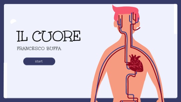 2024- 3°BL Scienze: Quiz, Il Cuore
