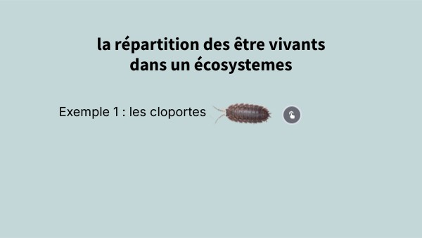 Copie - WP 6e répartition cloportes | Genially