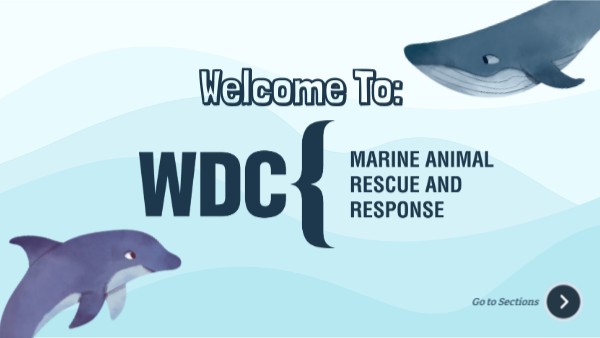 MARR Outreach Display | Genially