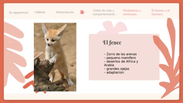 BOHO MICROSITE GUIDE | Genially