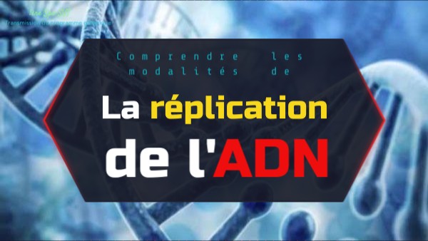 TP 2 - La Réplication de l'ADN | Genially