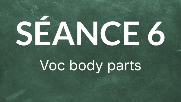 S4 - Séance 6 - 6ème