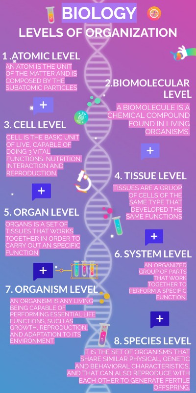 TIMELINE BIOLOGÍA VIBRANT