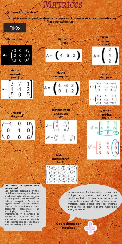 Infografía de matrices