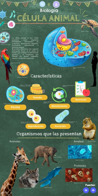 Biología_Célula animal | Genially