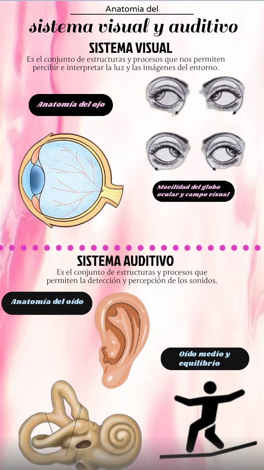 Sistema visual y auditivo