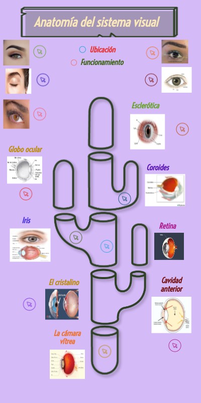 Sistema visual | Genially