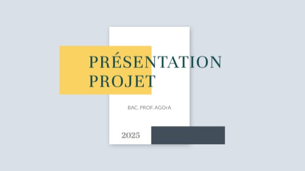 Présentation du projet en BAC. PRO. AGOrA | Genially