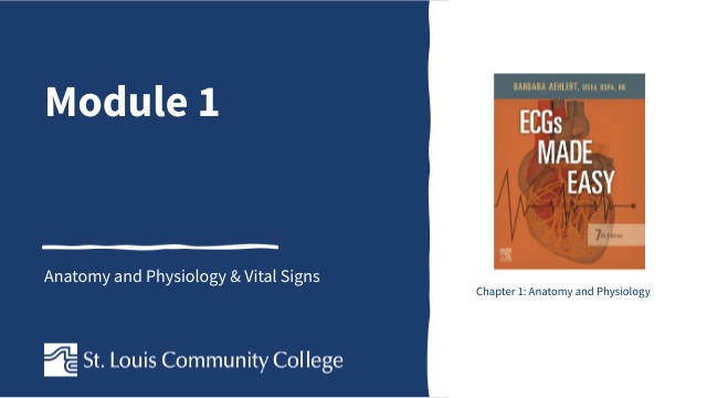 TMT_M1 & M2.pptx | Genially