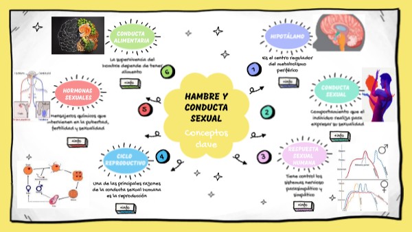 HAMBRE Y CONDUCTA SEXUAL. EAD | Genially