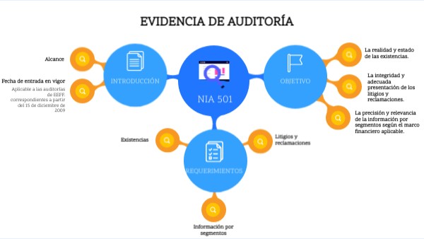 EVIDENCIA DE AUDITORÍA - NIA 501
