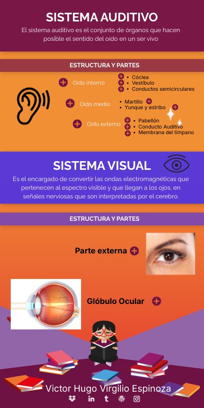 Infografía Sistema visual y auditivo