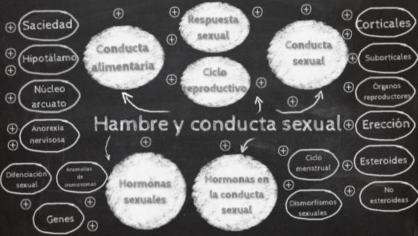 Hambre y conducta sexual