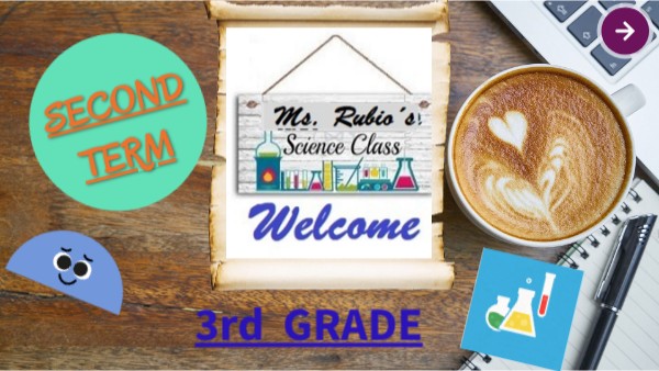 2024-25. 3rd Grade. Second Term. 2024-25