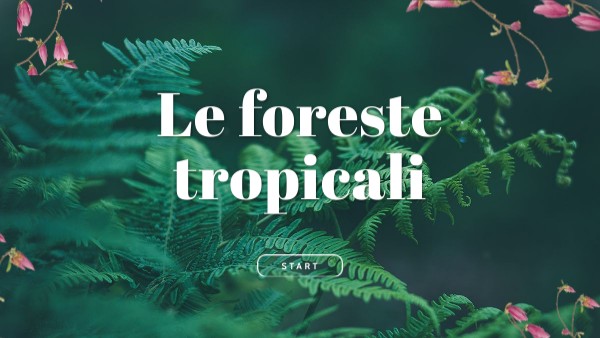 le foreste tropicali