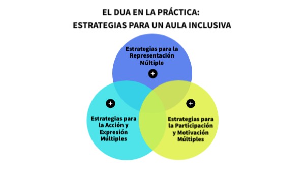 El DUA en la práctica