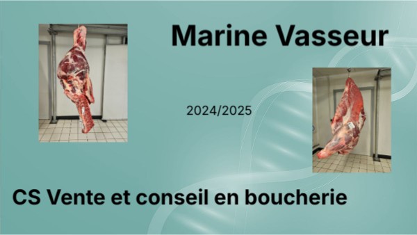CS Marine Nouveau