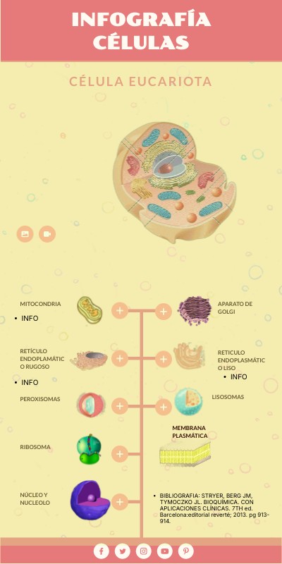 INFO CÉLULA ANIMAL | Genially