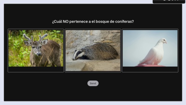 Pregunta - Respuesta