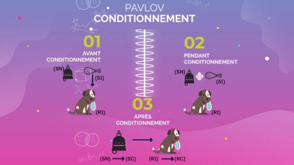 Expérience de Pavlov en image