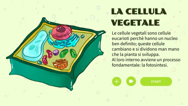 la cellula vegetale e i suoi componenti