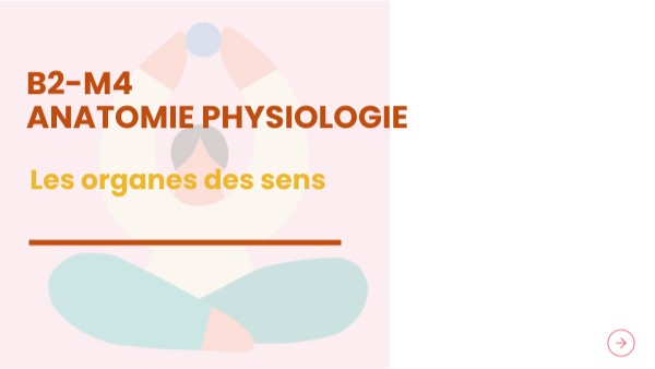 Anat Physio Organe des Sens | Genially